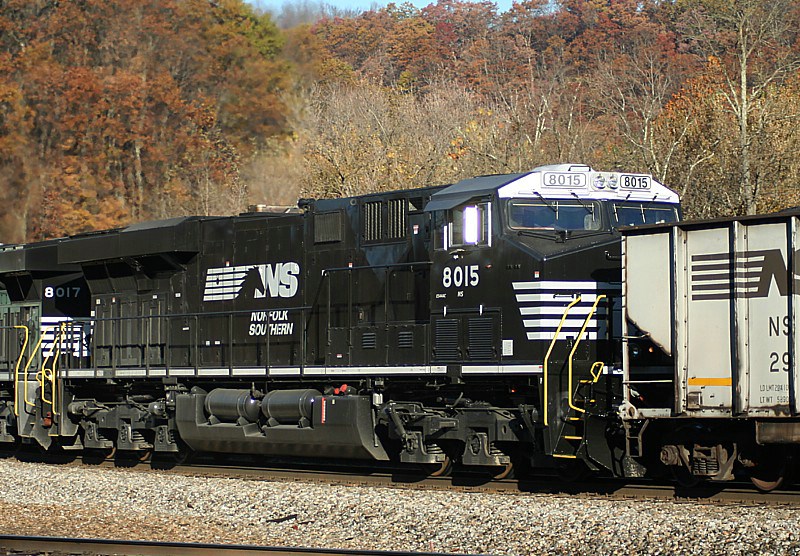 NS 8015